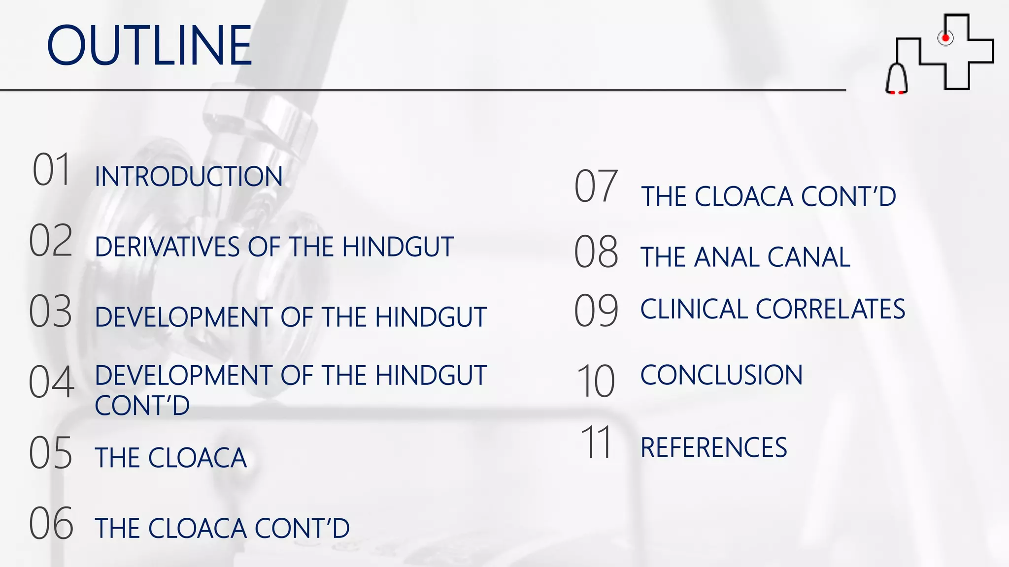 A seminar presentation on the embryology of the hindgut | PPTX