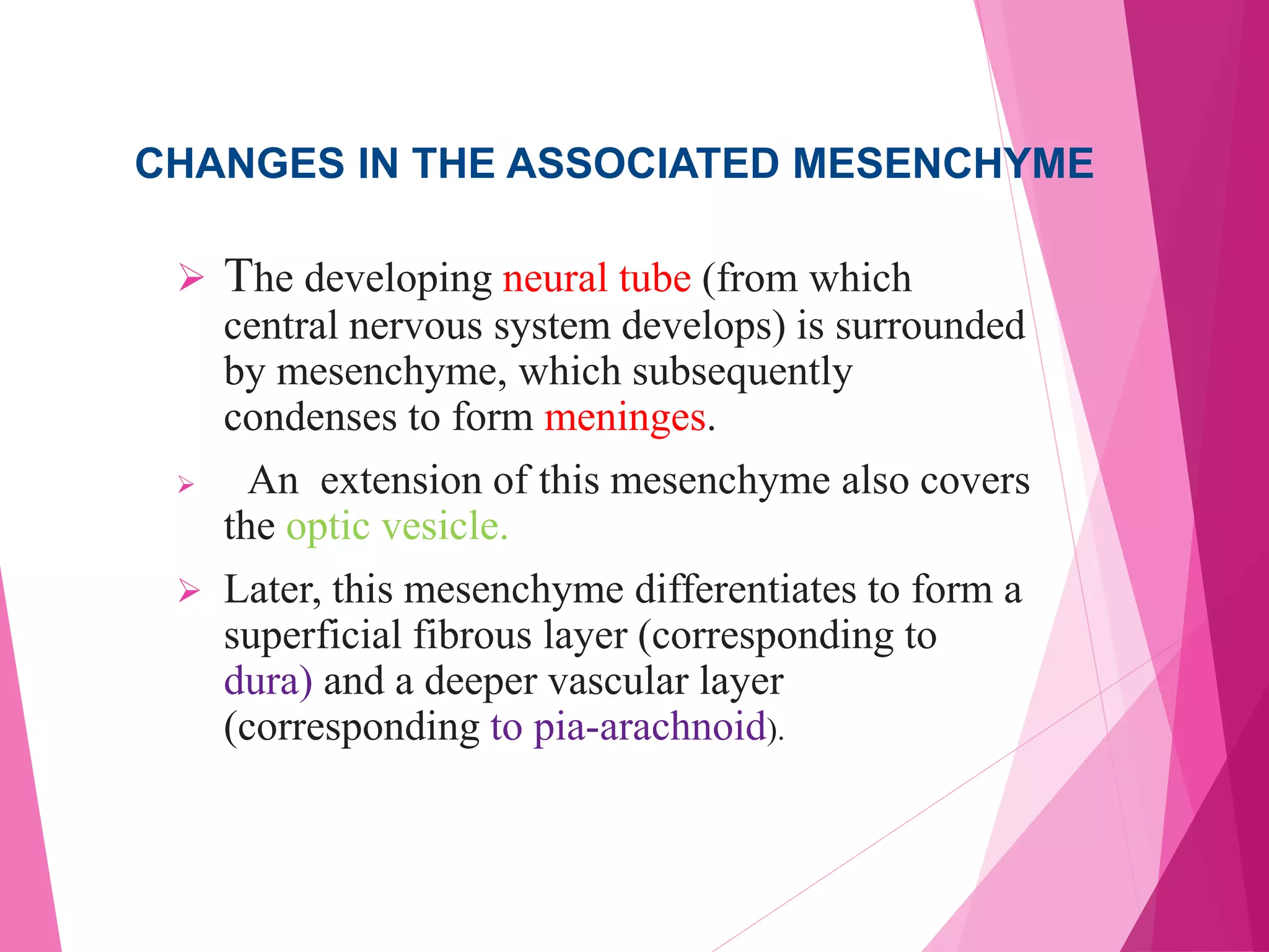Embryology of the human eye | PPTX