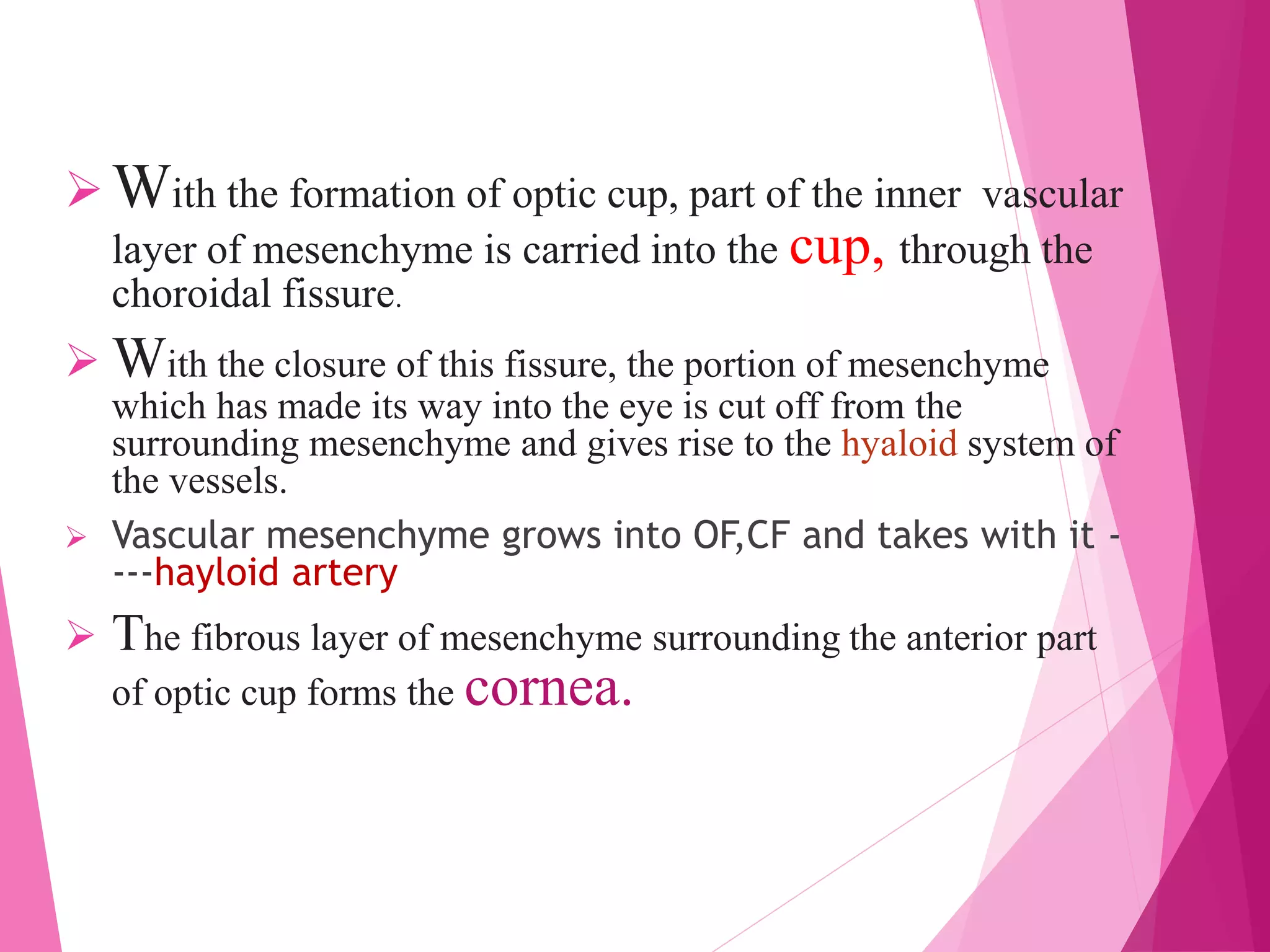 Embryology of the human eye | PPTX