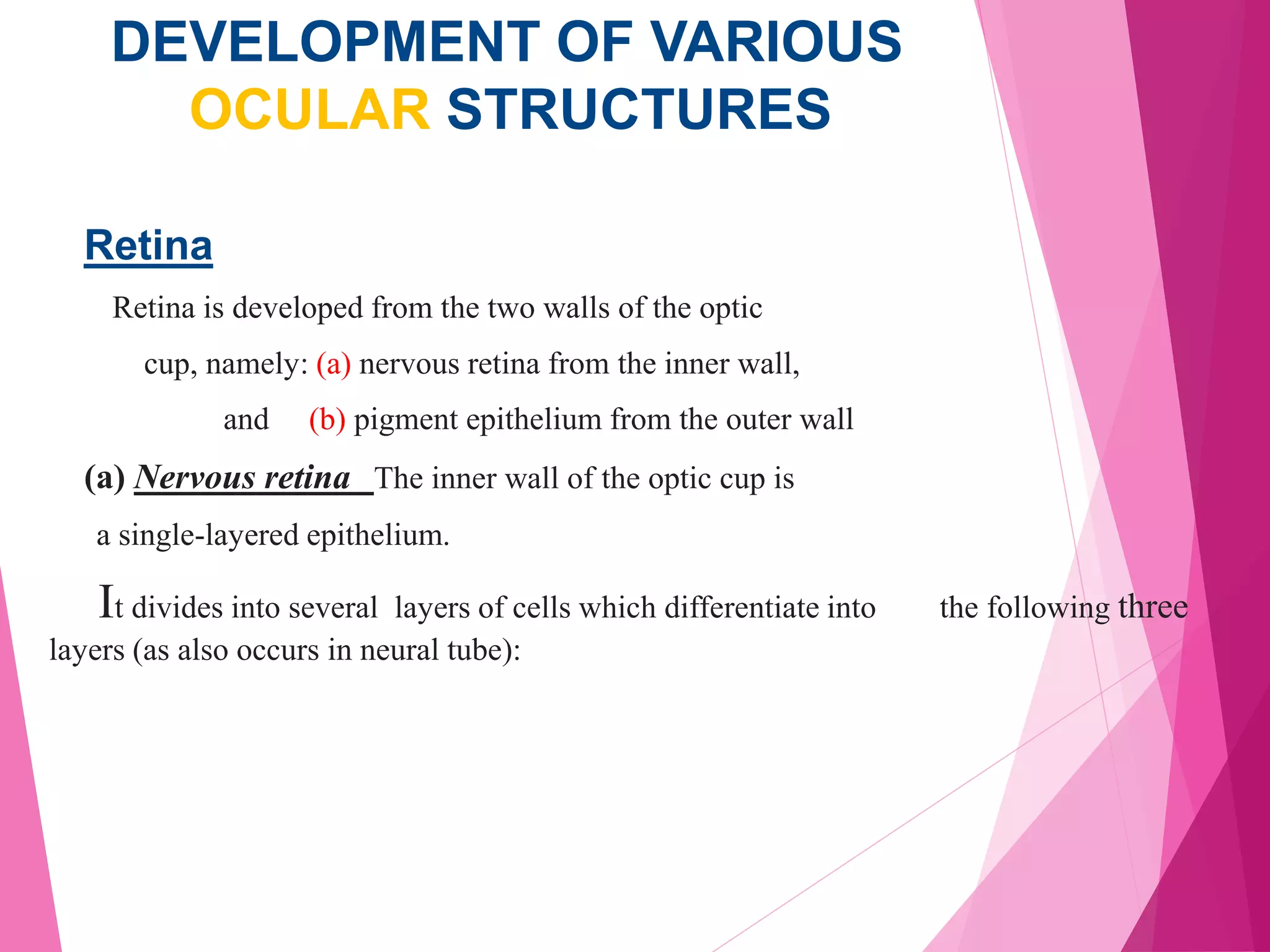 Embryology of the human eye | PPTX