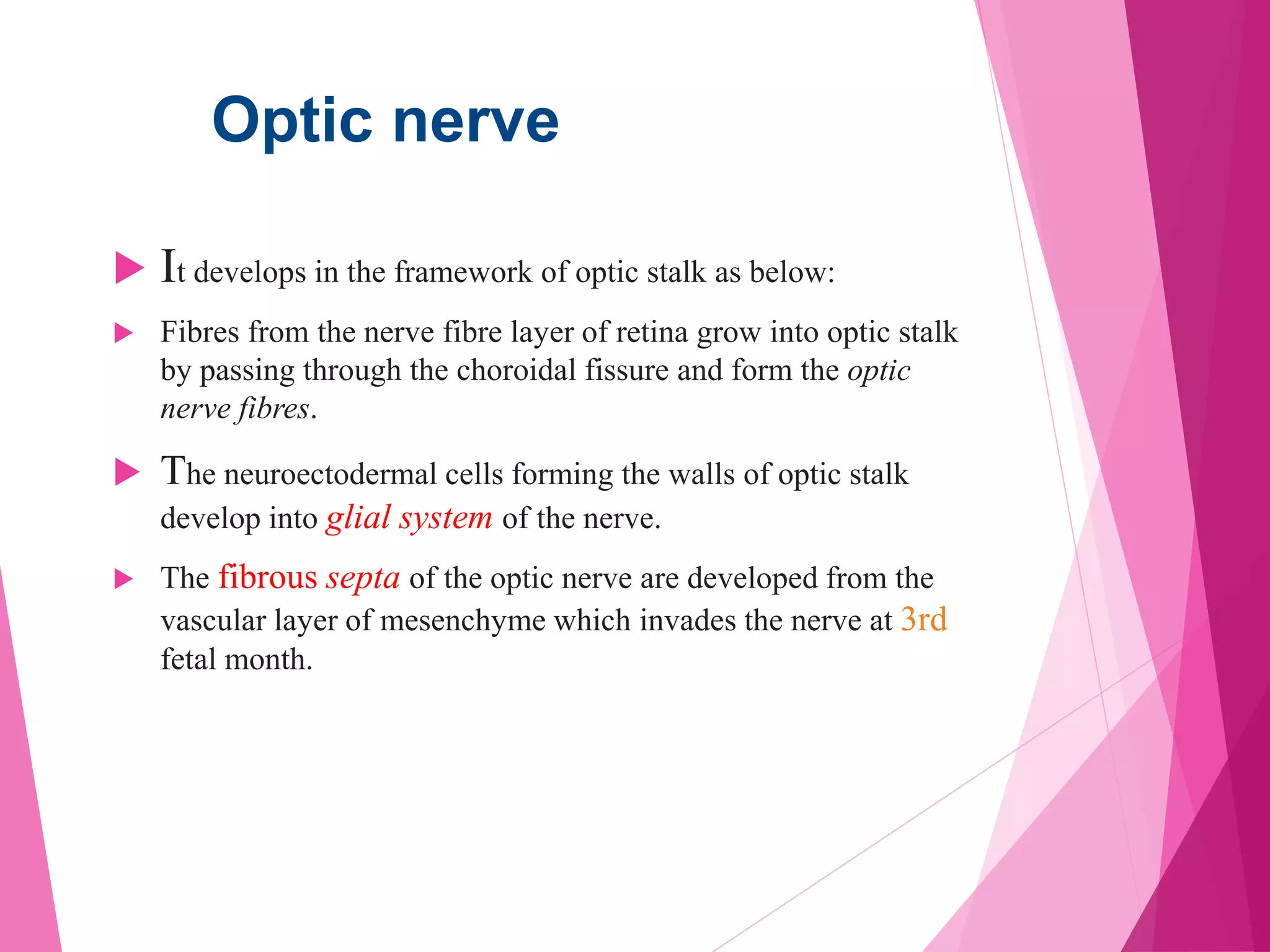 Embryology of the human eye | PPTX