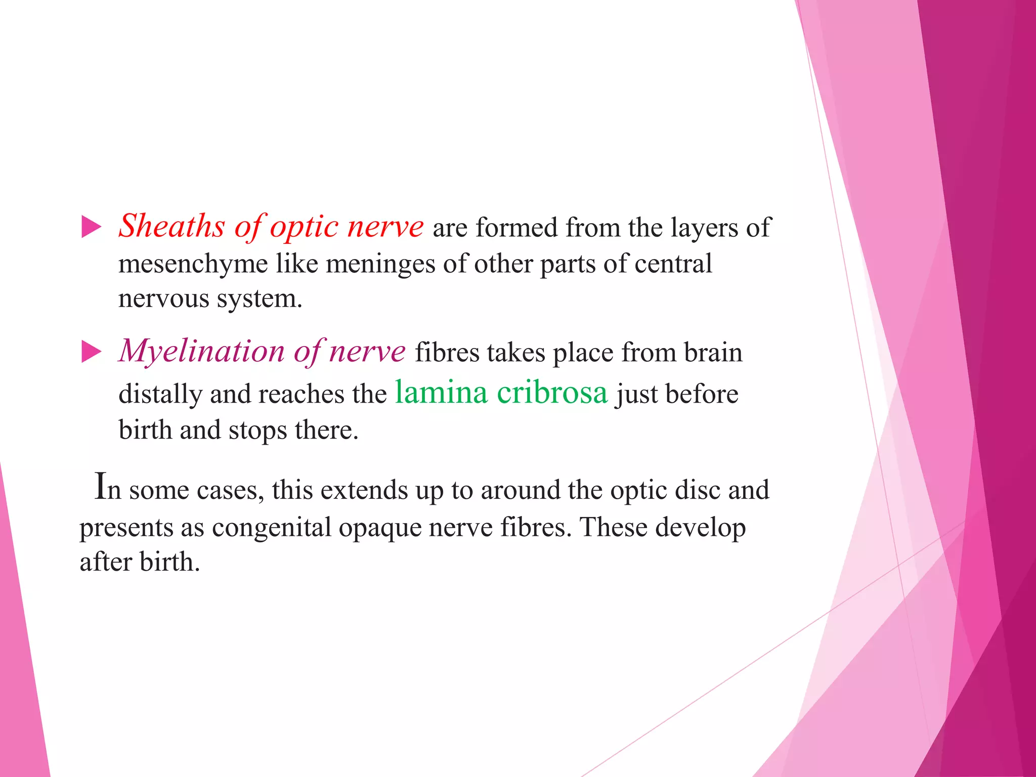 Embryology of the human eye | PPTX