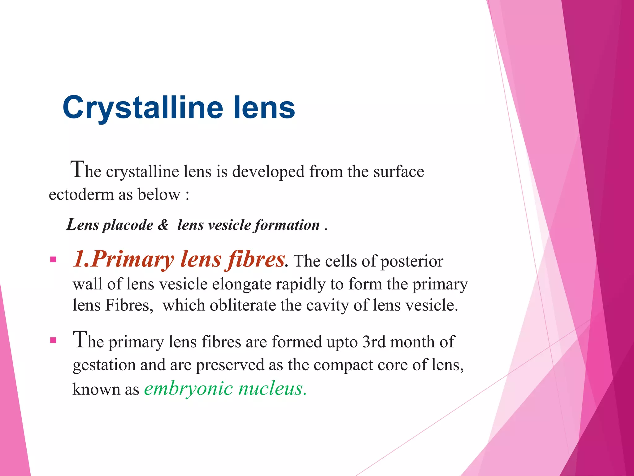 Embryology of the human eye | PPTX
