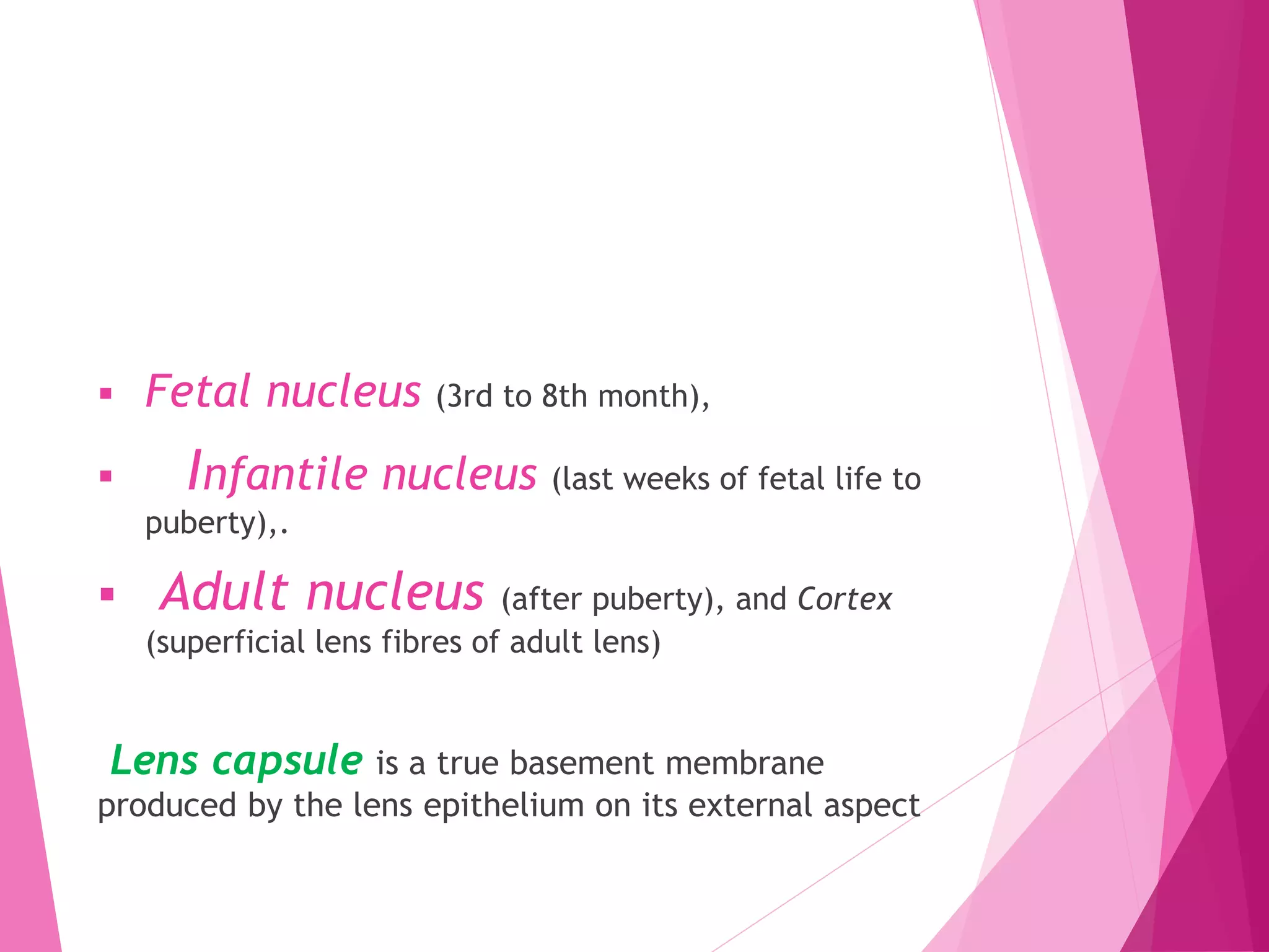 Embryology of the human eye | PPTX
