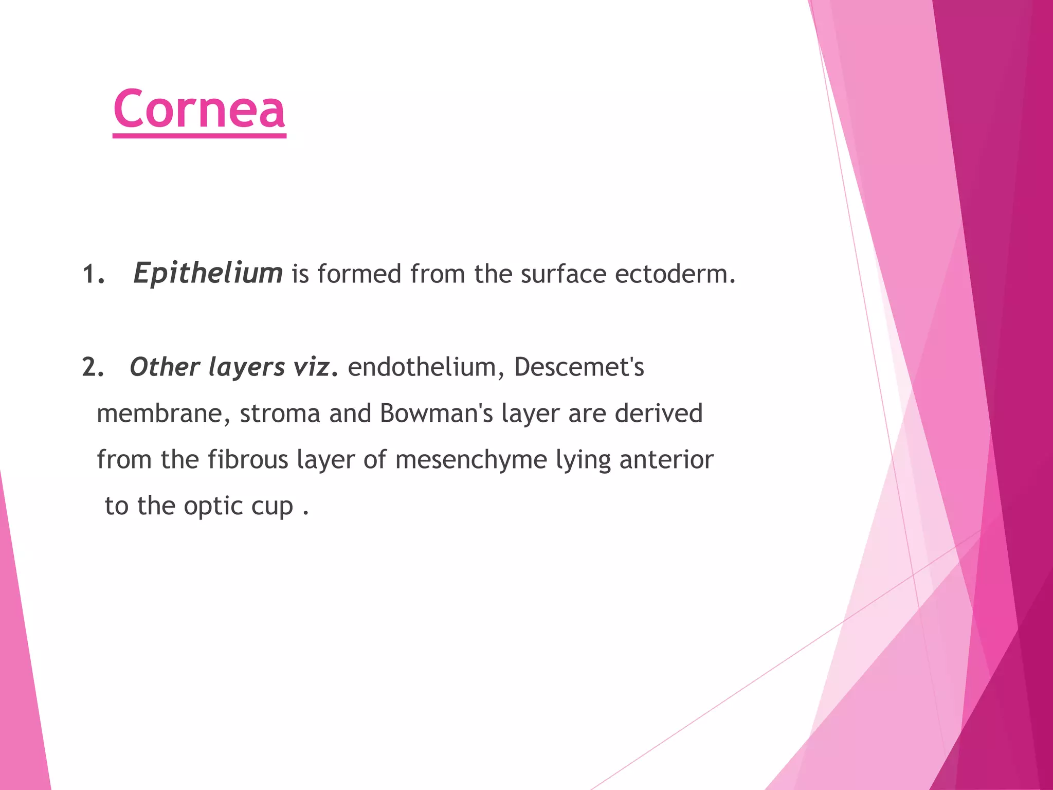 Embryology of the human eye | PPTX