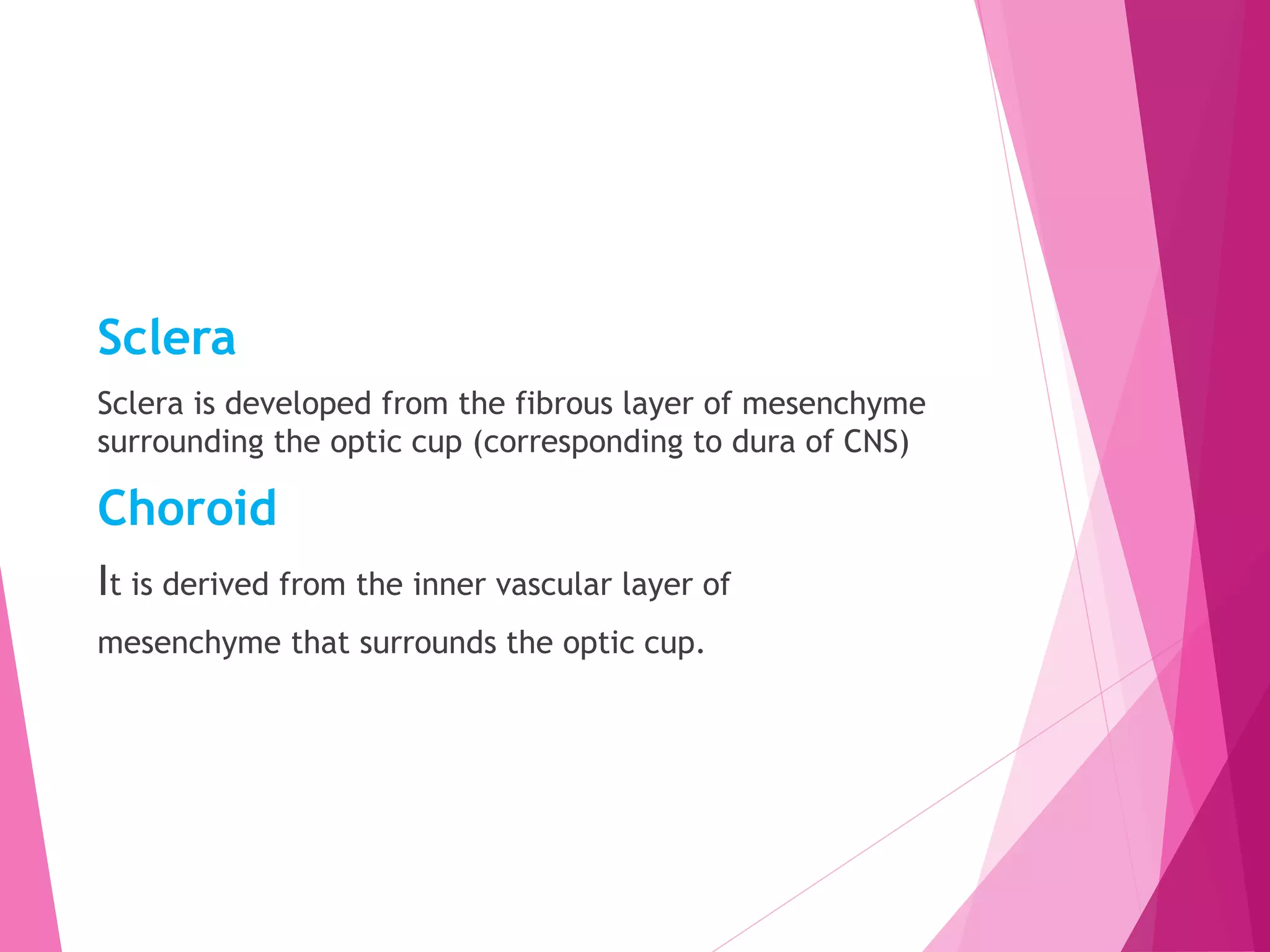 Embryology of the human eye | PPTX