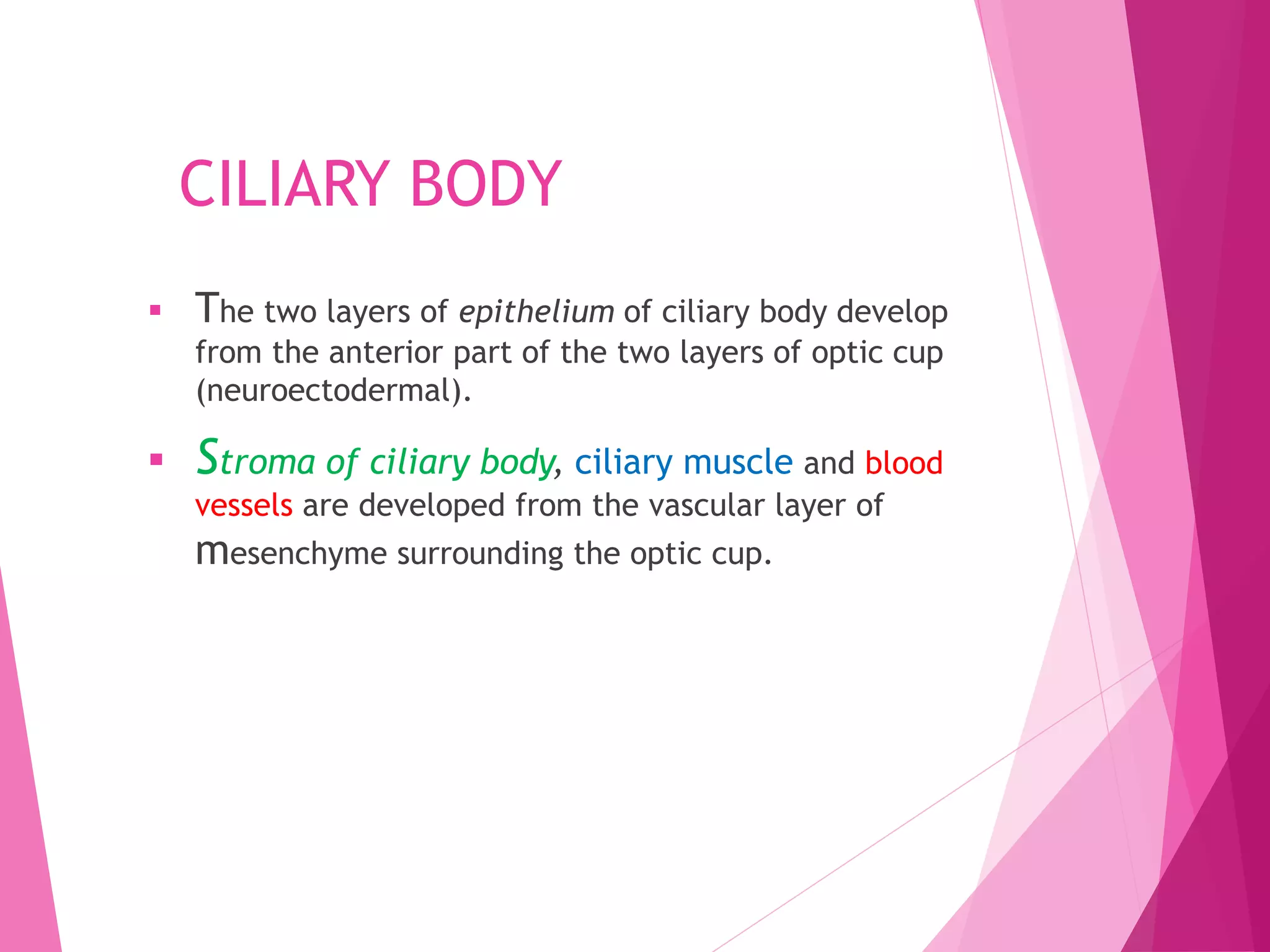 Embryology of the human eye | PPTX