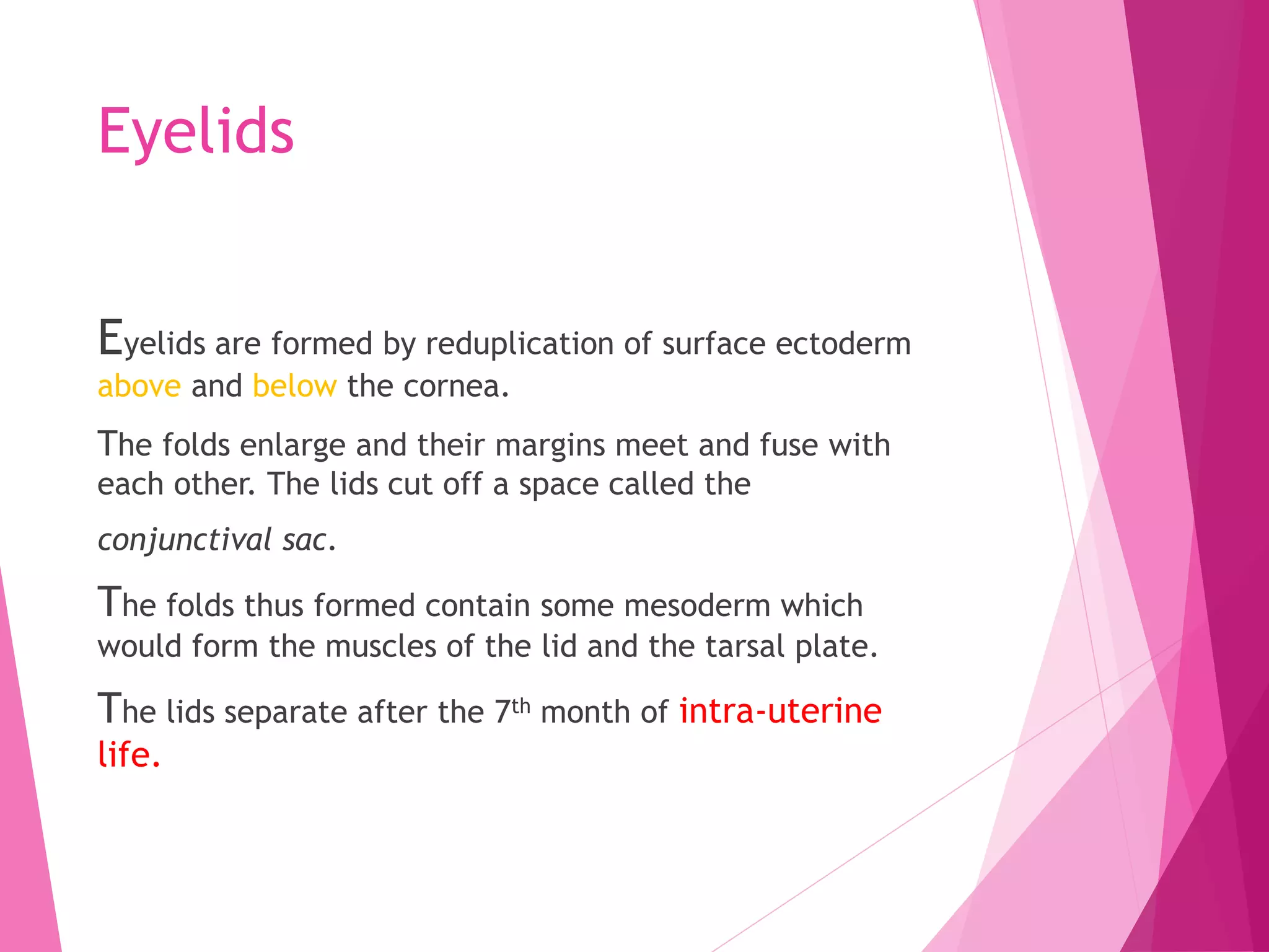 Embryology of the human eye | PPTX