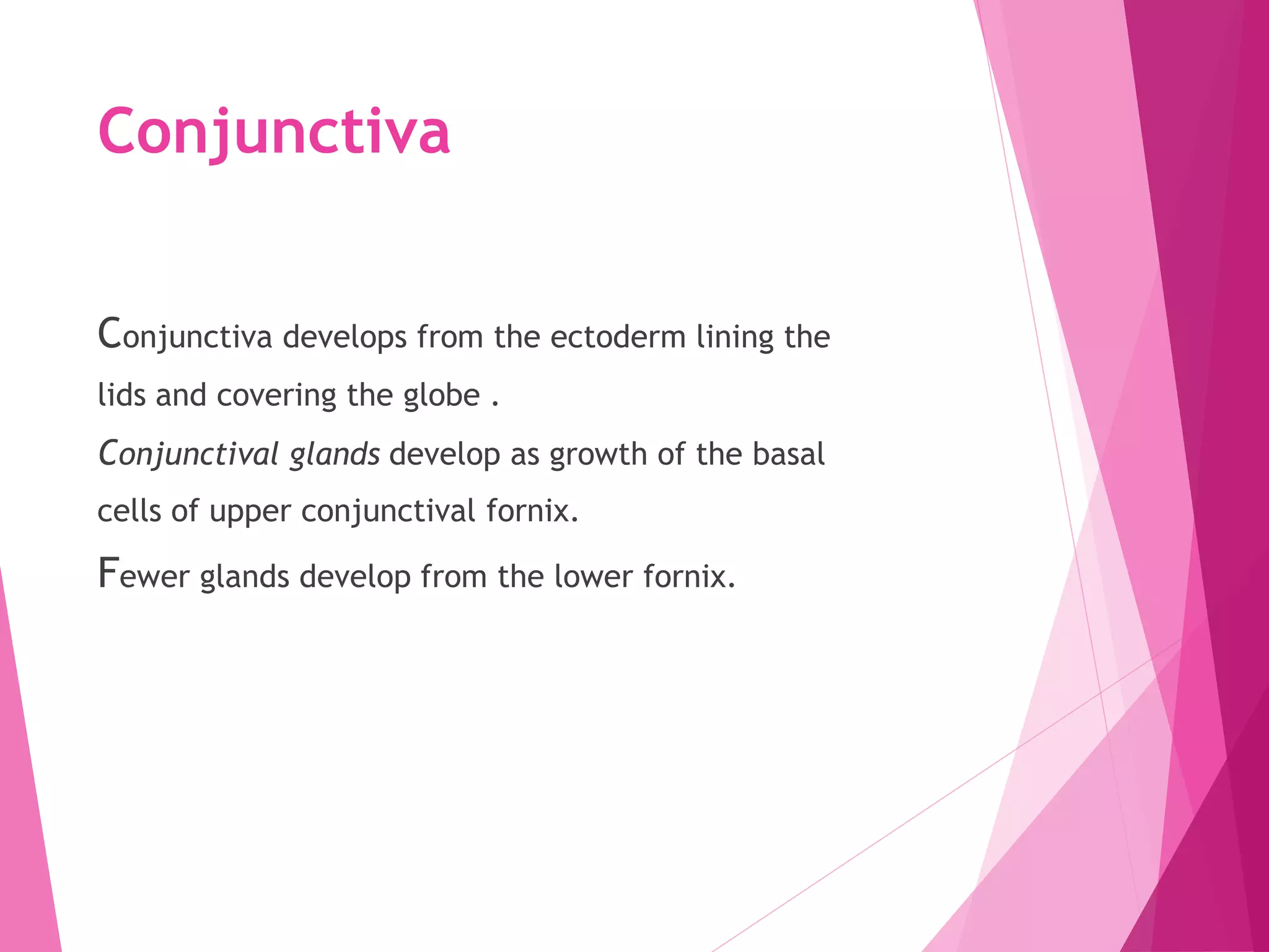 Embryology of the human eye | PPTX