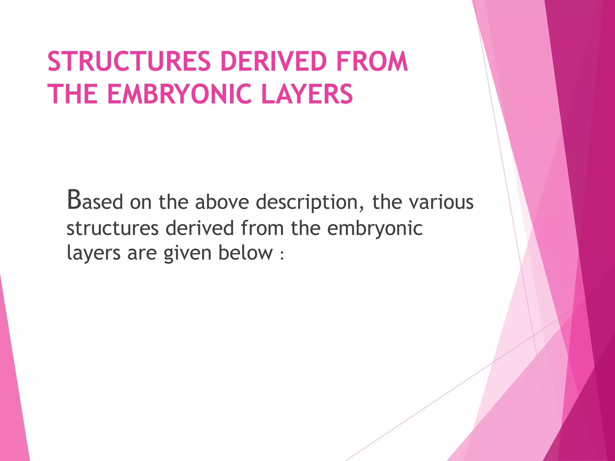 Embryology of the human eye | PPTX