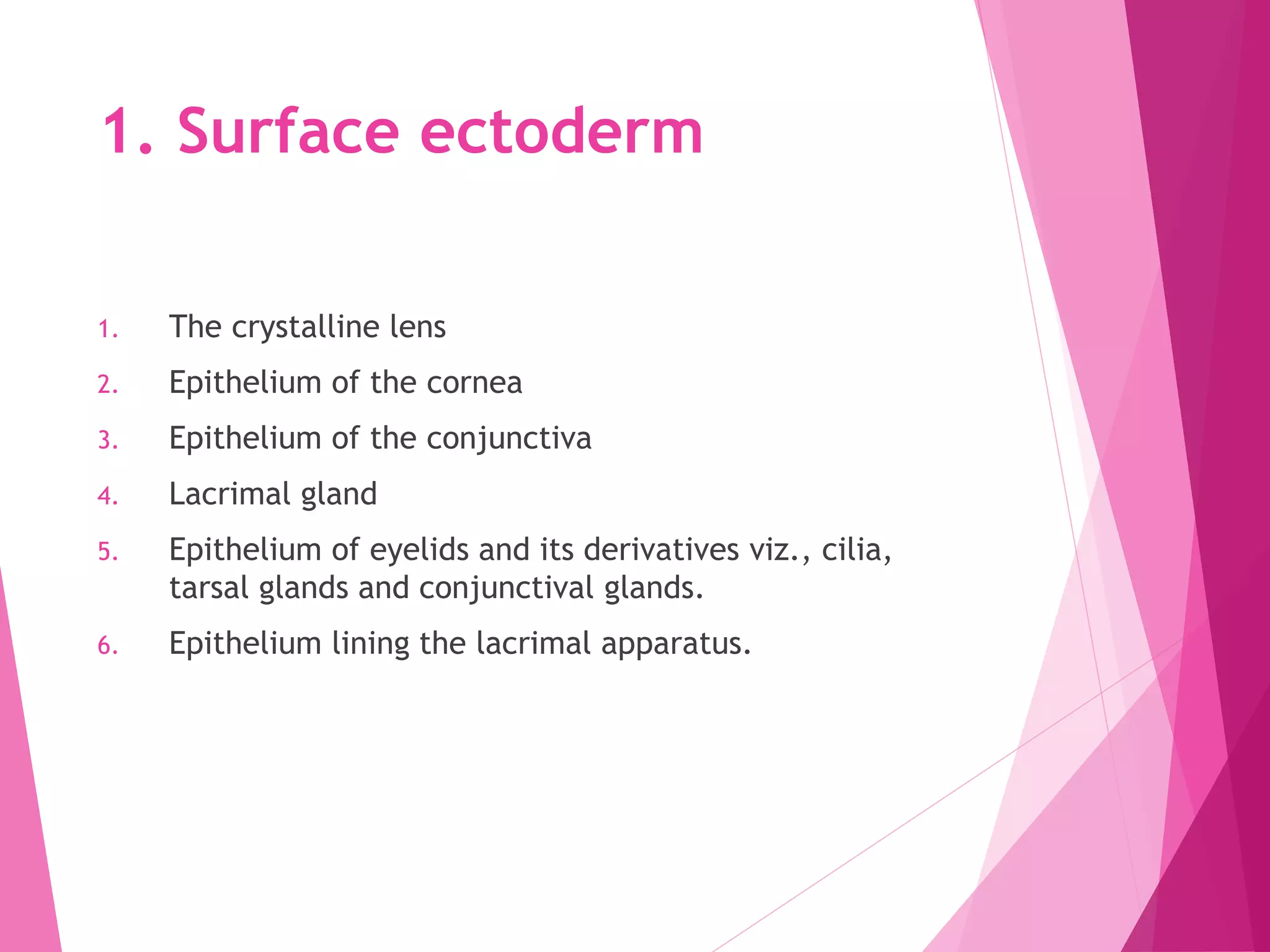 Embryology of the human eye | PPTX