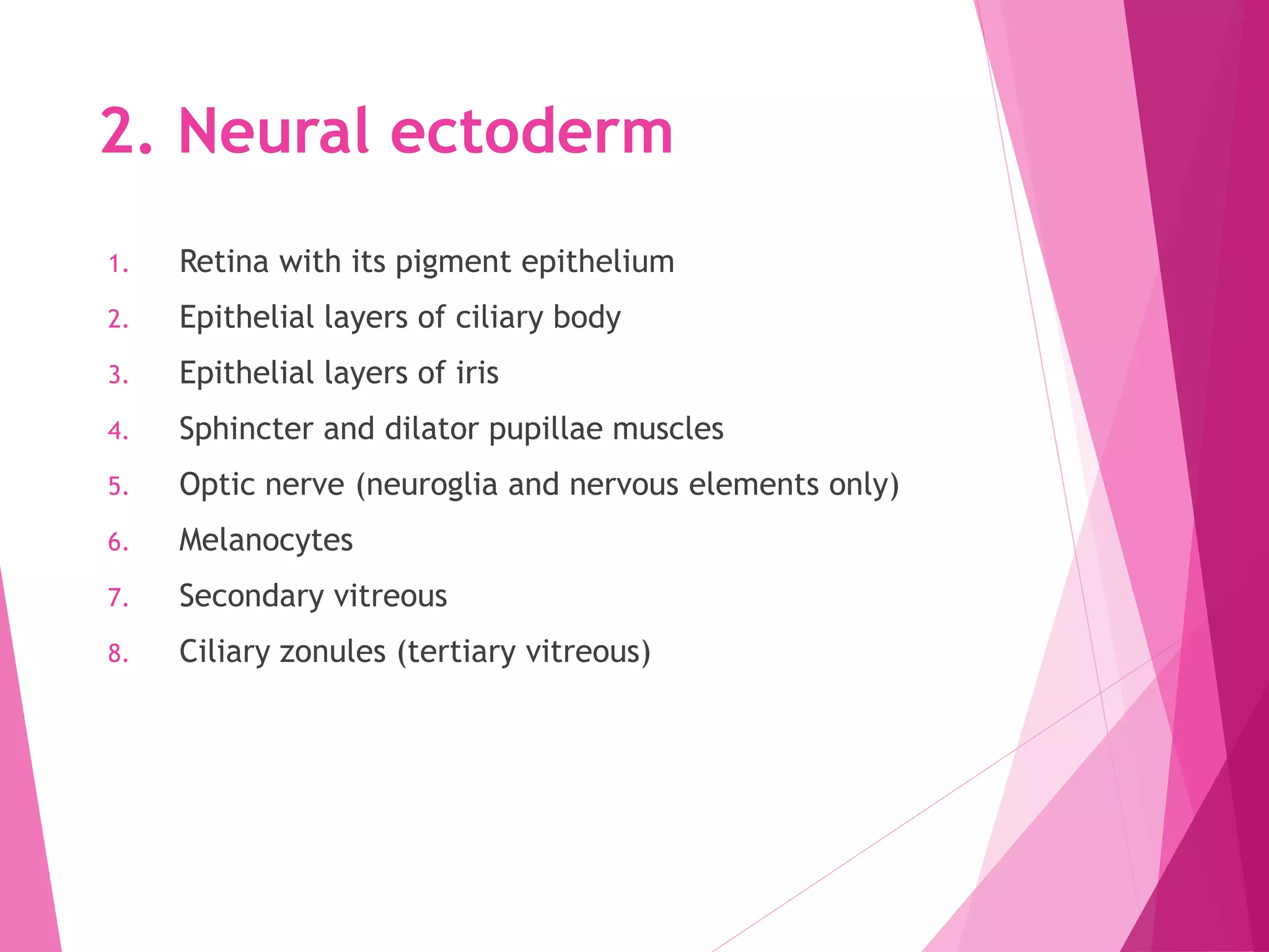 Embryology of the human eye | PPTX