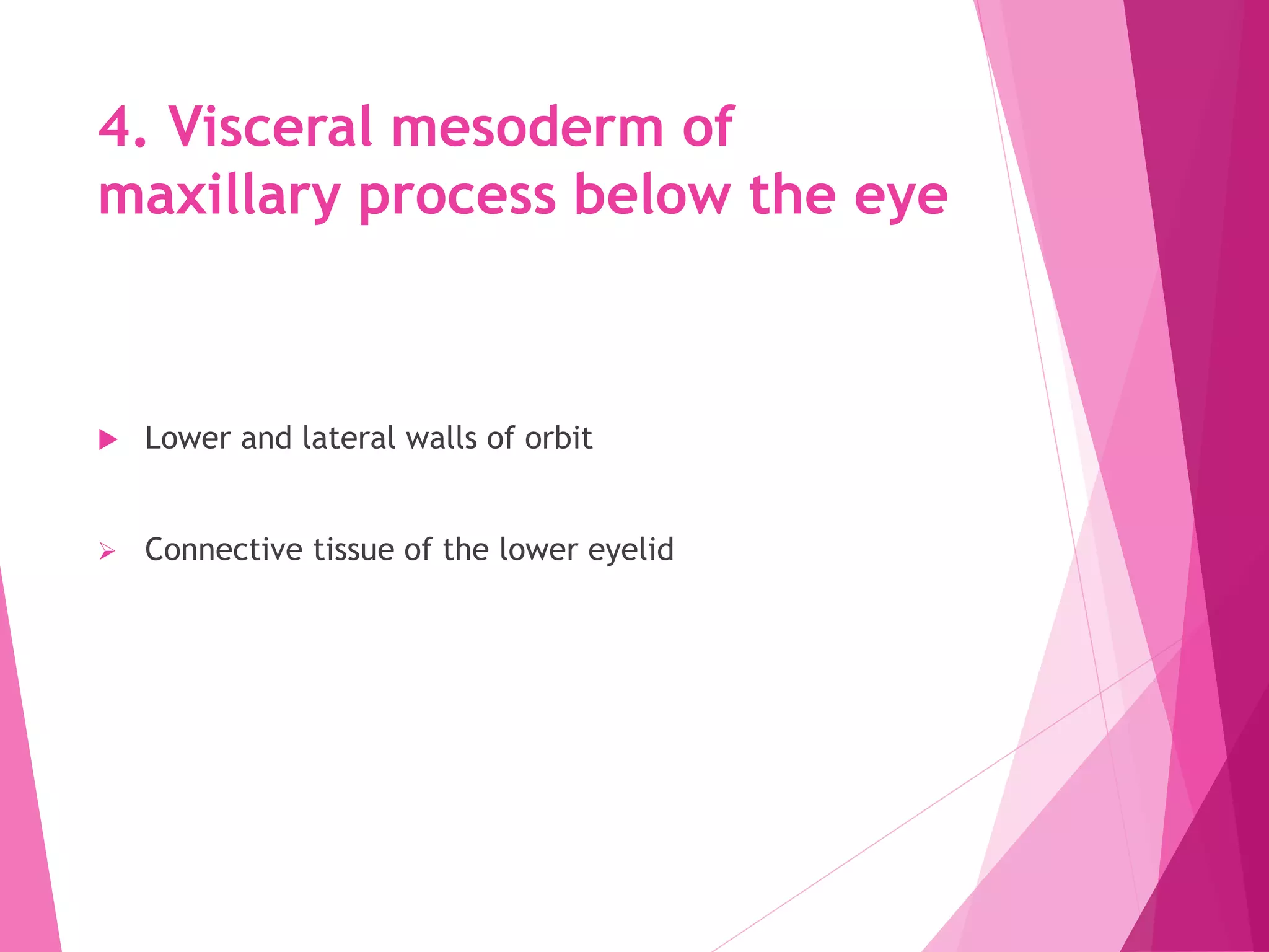 Embryology of the human eye | PPTX