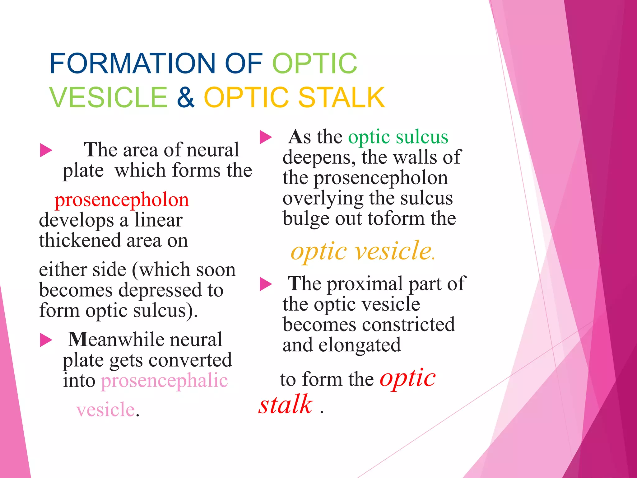 Embryology of the human eye | PPTX