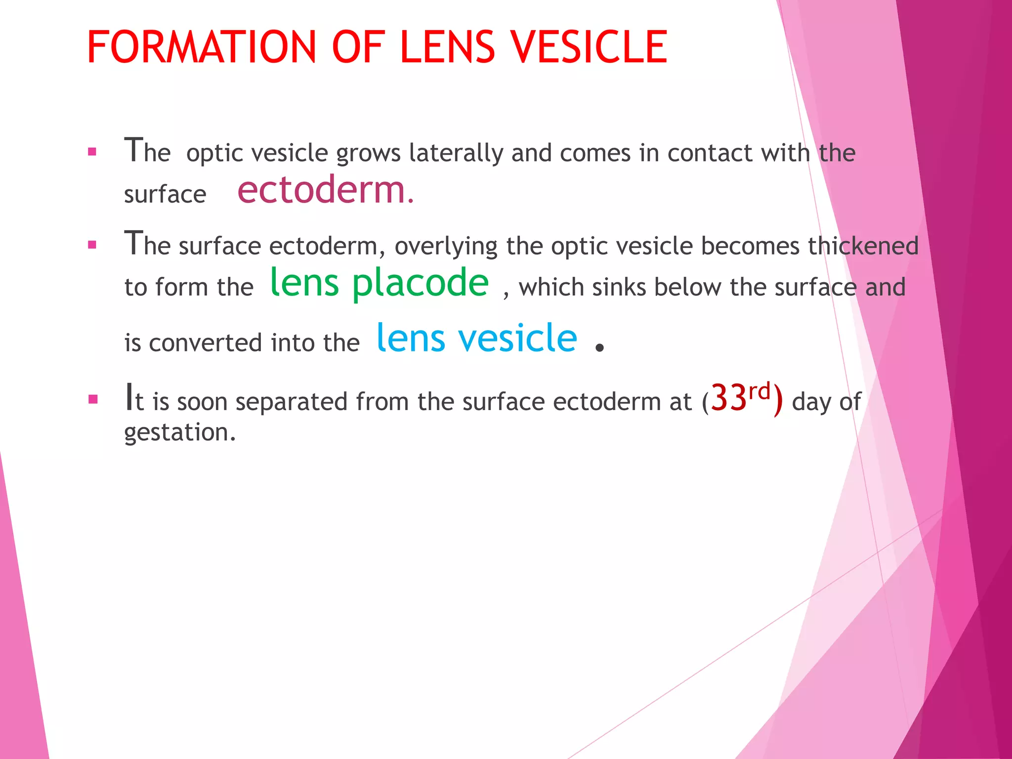 Embryology of the human eye | PPTX
