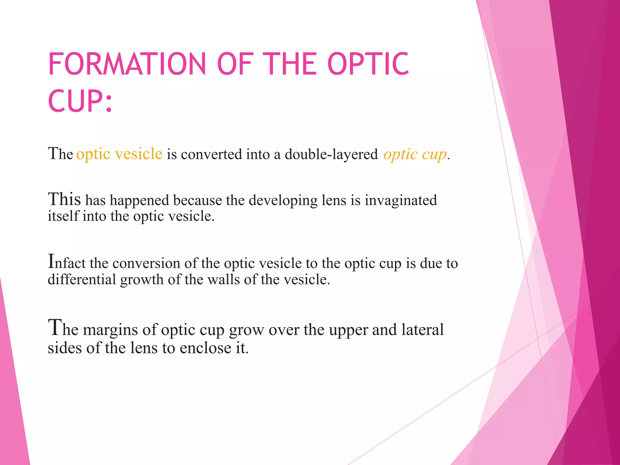 Embryology of the human eye | PPTX