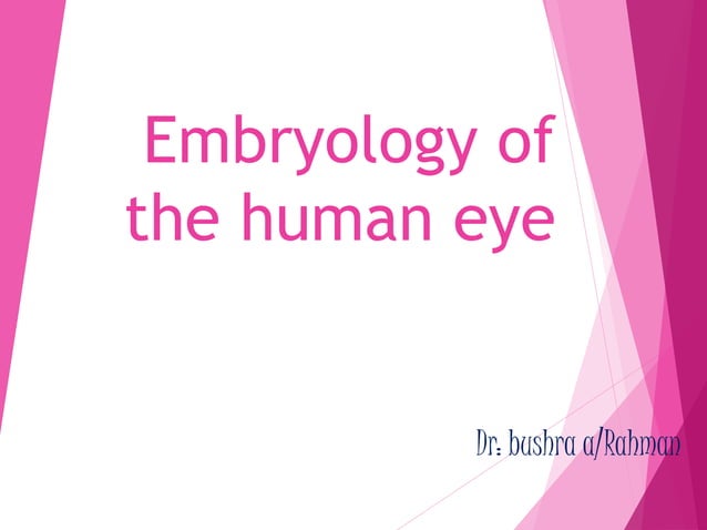 Embryology of the human eye | PPTX
