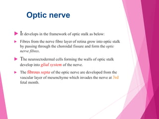 Embryology of the human eye | PPTX