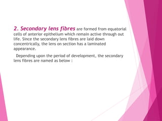 Embryology of the human eye | PPTX