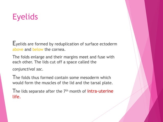 Embryology of the human eye | PPTX
