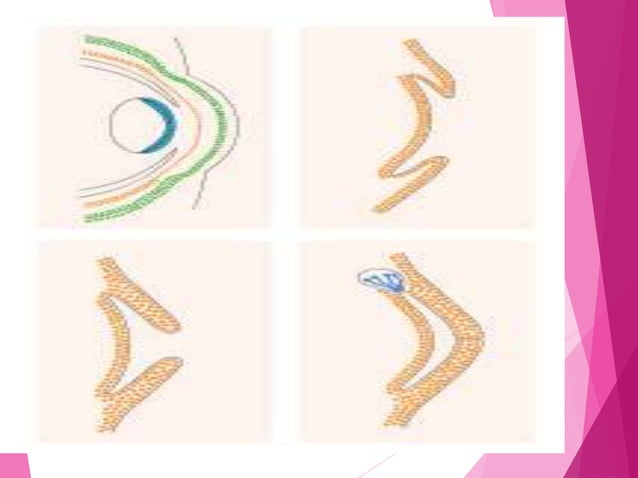 Embryology of the human eye | PPTX