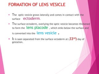 Embryology of the human eye | PPTX