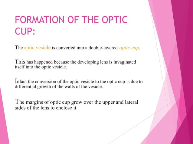 Embryology of the human eye | PPTX
