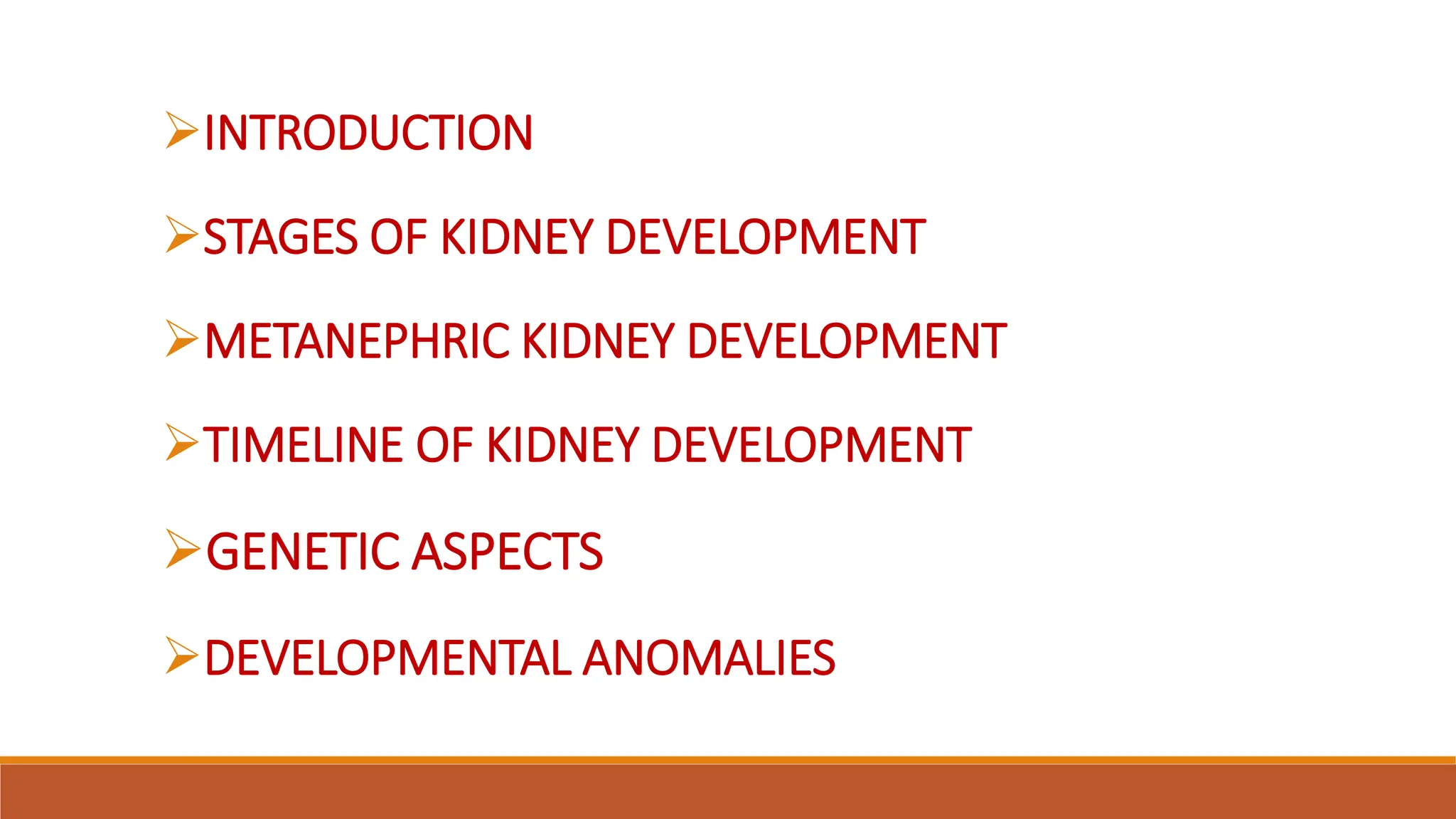 Embryology of the Kidney or Nephrogenesis.pptx