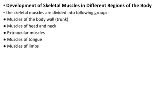 Embryology of the muscular system.22.pptx
