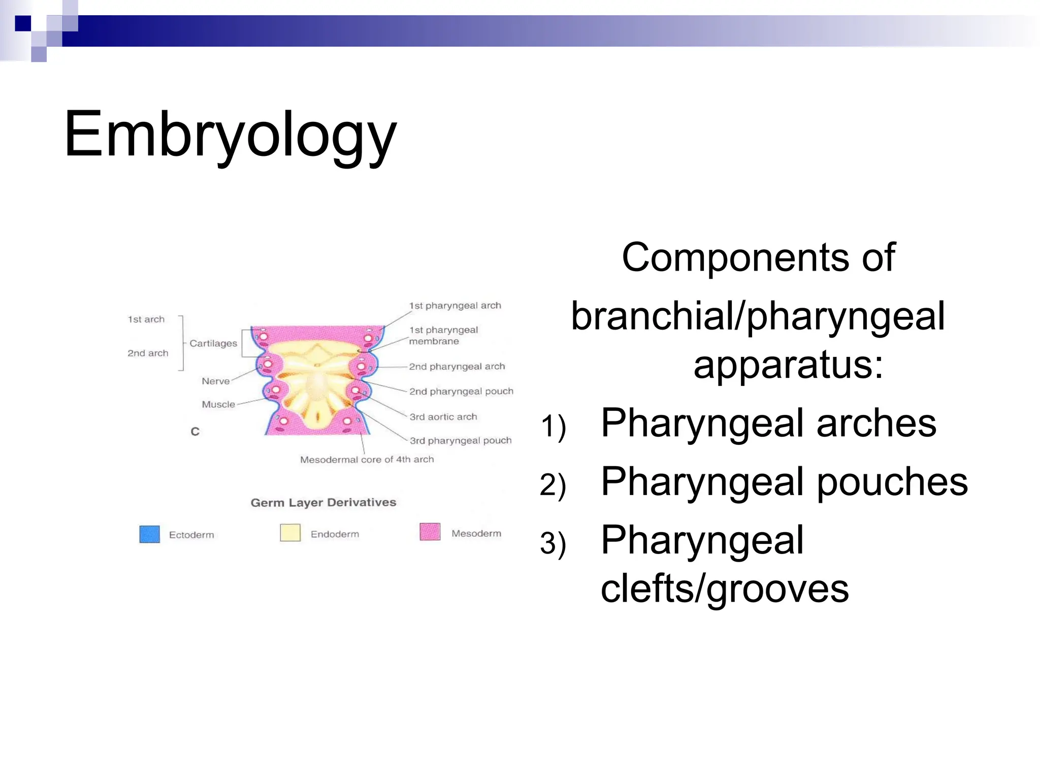Embryology of the Pharynx for students.ppt