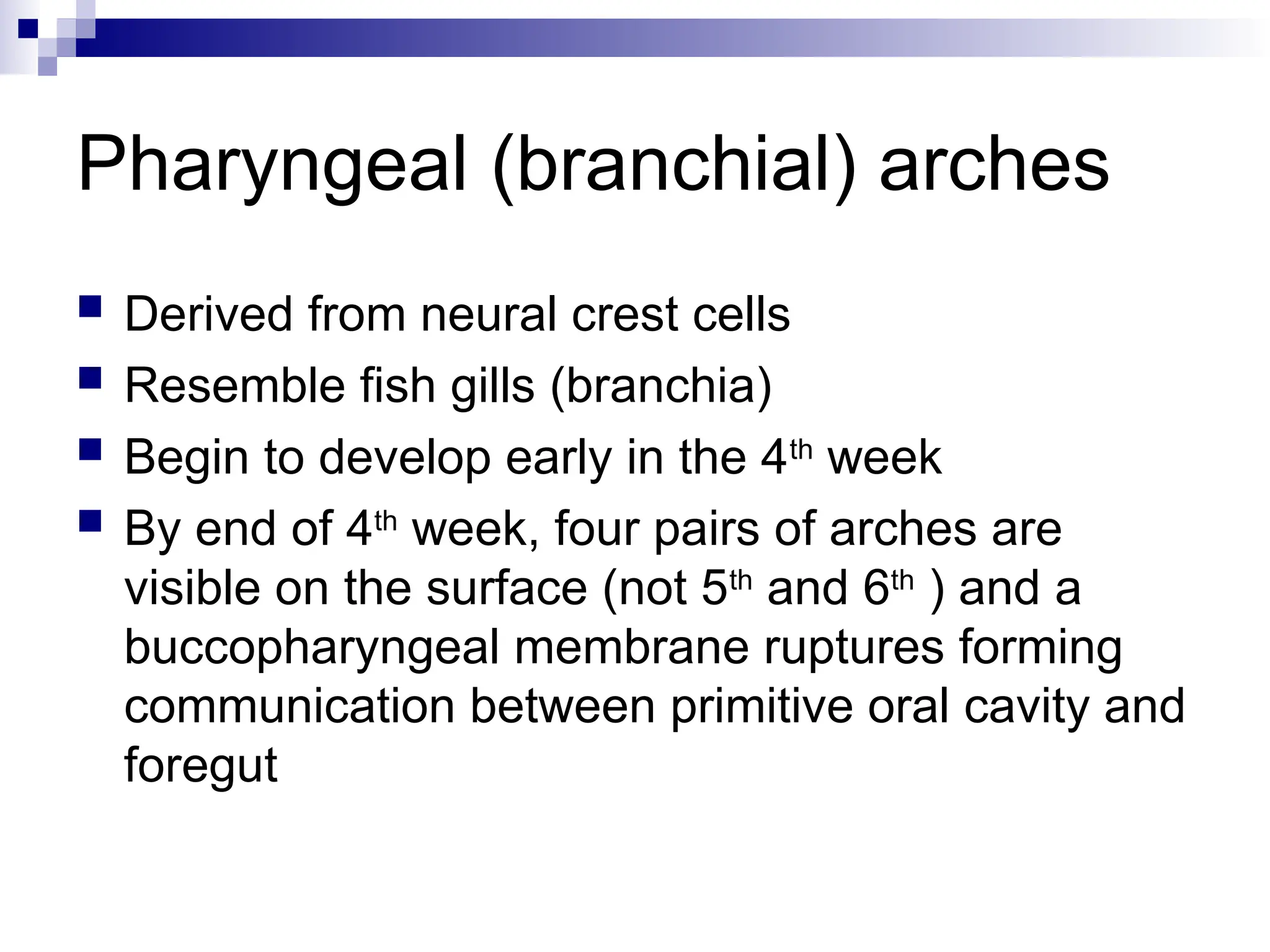 Embryology of the Pharynx for students.ppt