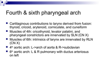 Embryology of the Pharynx for students.ppt