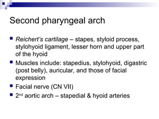 Embryology of the Pharynx for students.ppt