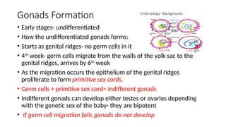 Embryology of the Reproductive System xxxx.pptx