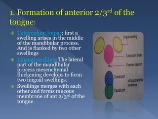 Embryology of tongue | PPTX