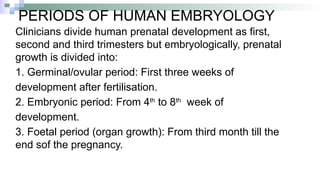 Embryology of Upper, lower limbs and the.pptx