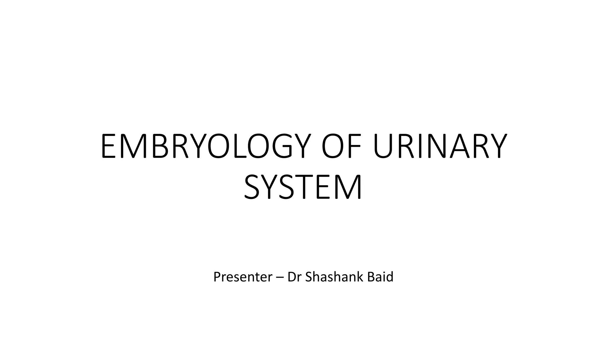 Embryology of urinary system | PPTX