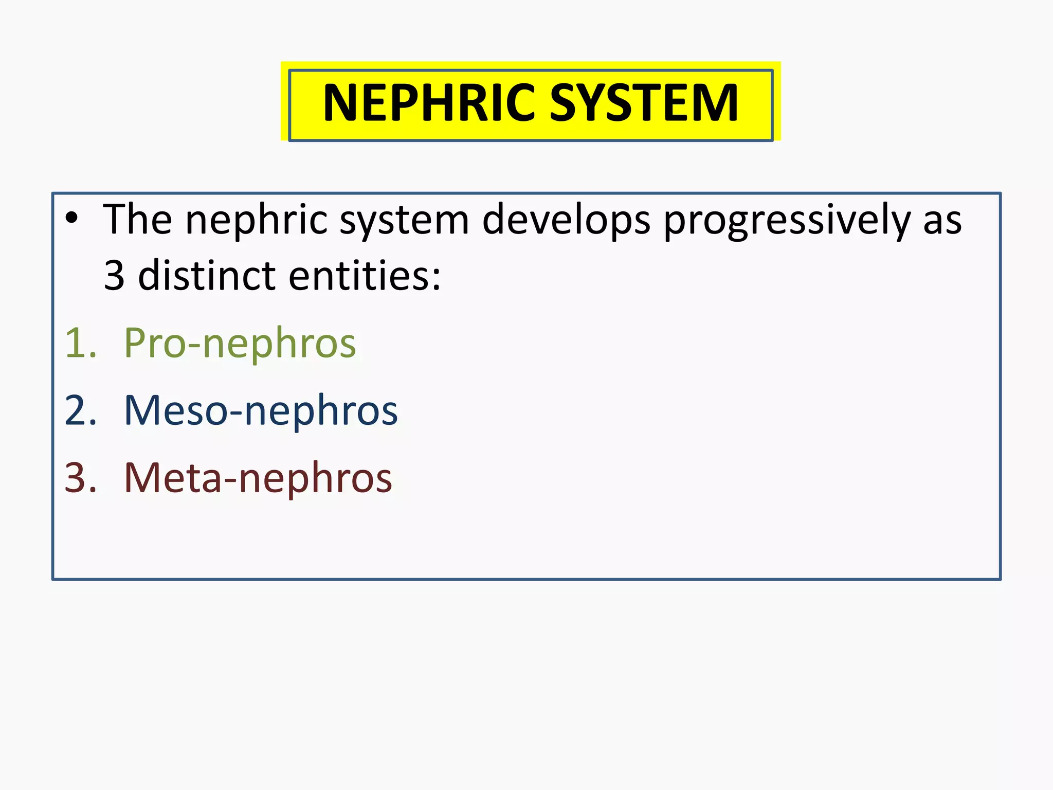 Embryology of Urinary System by Dr. Majid Kakakhel | PPT