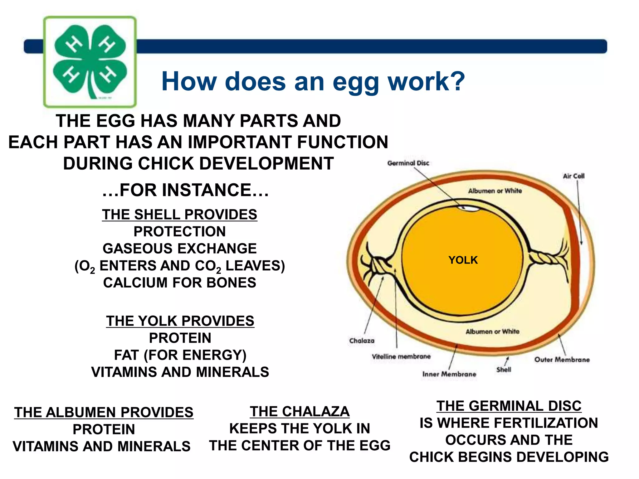 Embryology_Overview_Students.ppt