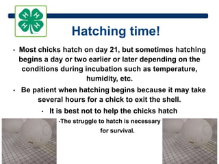Embryology_Overview_Students.ppt