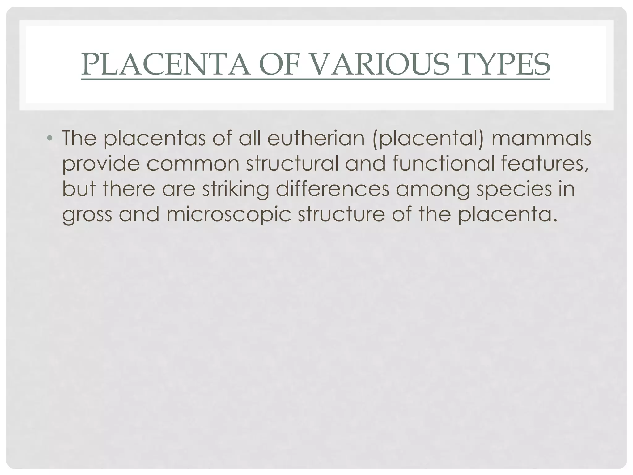 histology of Embryology placenta | PDF