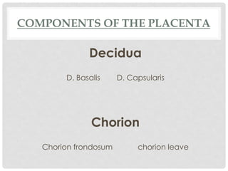 histology of Embryology placenta | PDF