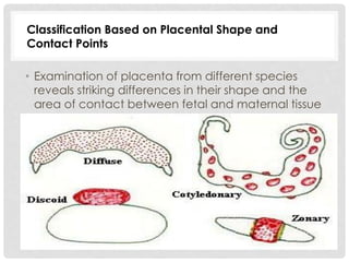 histology of Embryology placenta | PDF