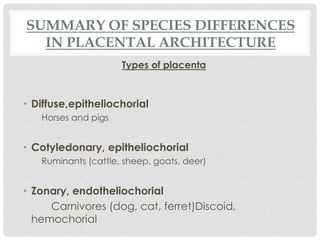 histology of Embryology placenta | PDF