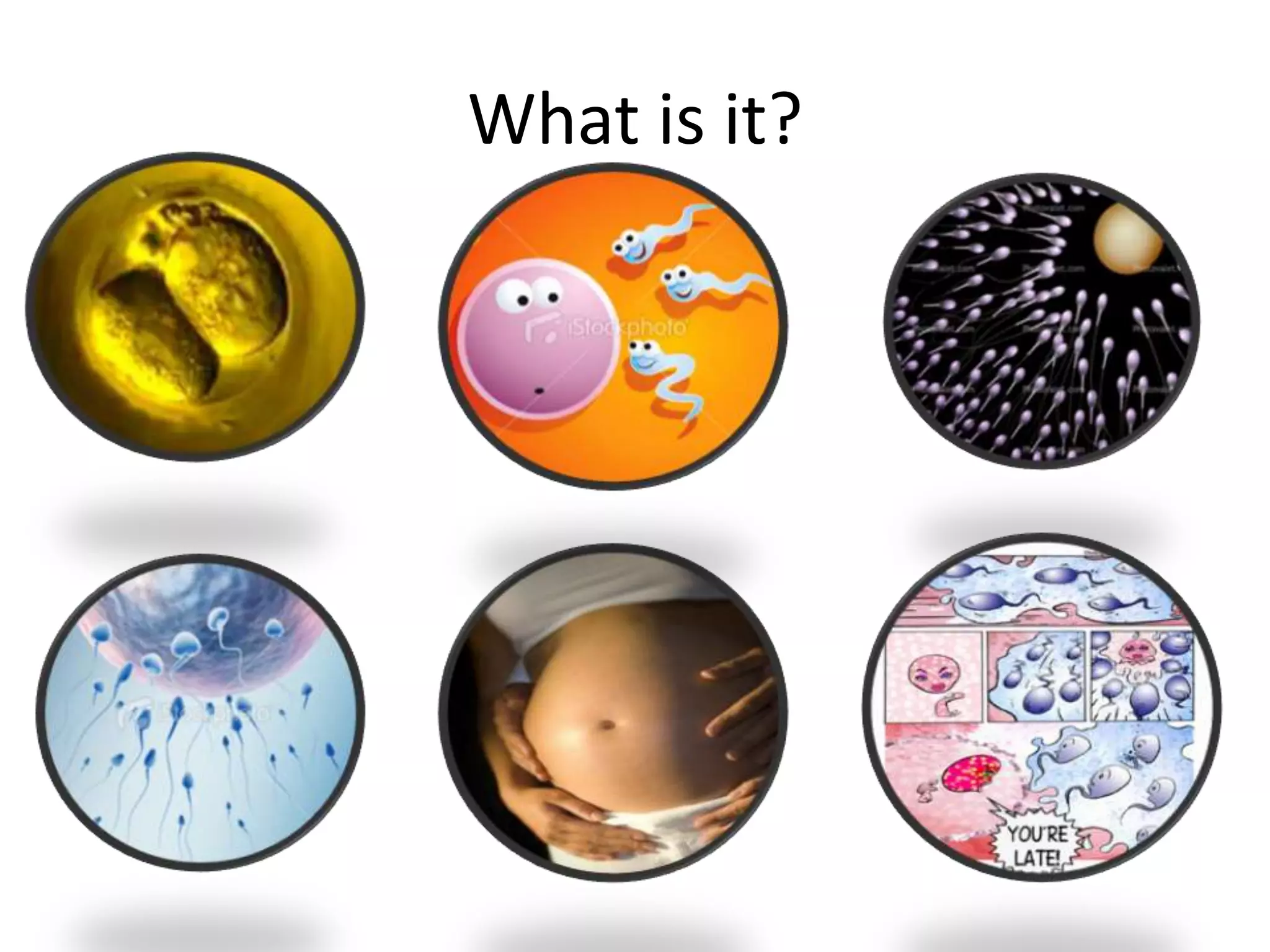 Embryology power point | PPT