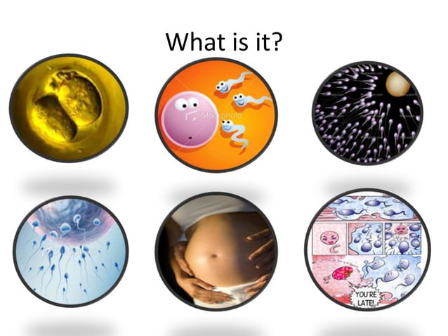 Embryology power point | PPT