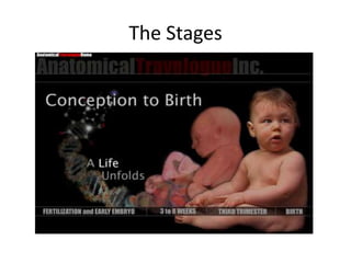 Embryology power point | PPTX