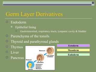 Embryology ppt | PPT