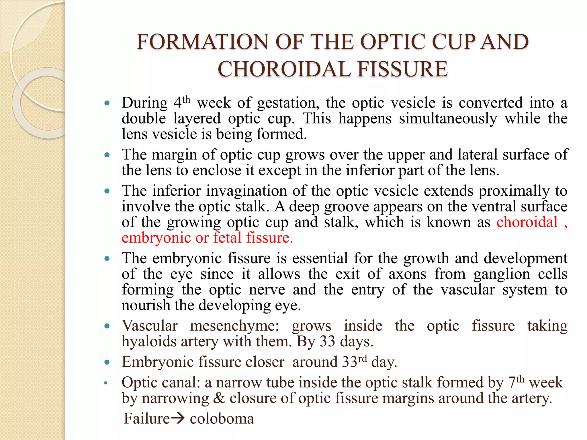 Embryology of Eye | PPTX