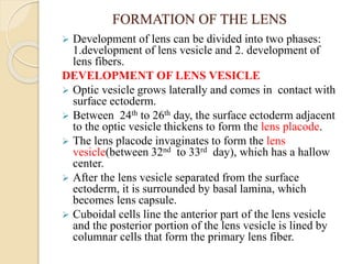 Embryology of Eye | PPTX